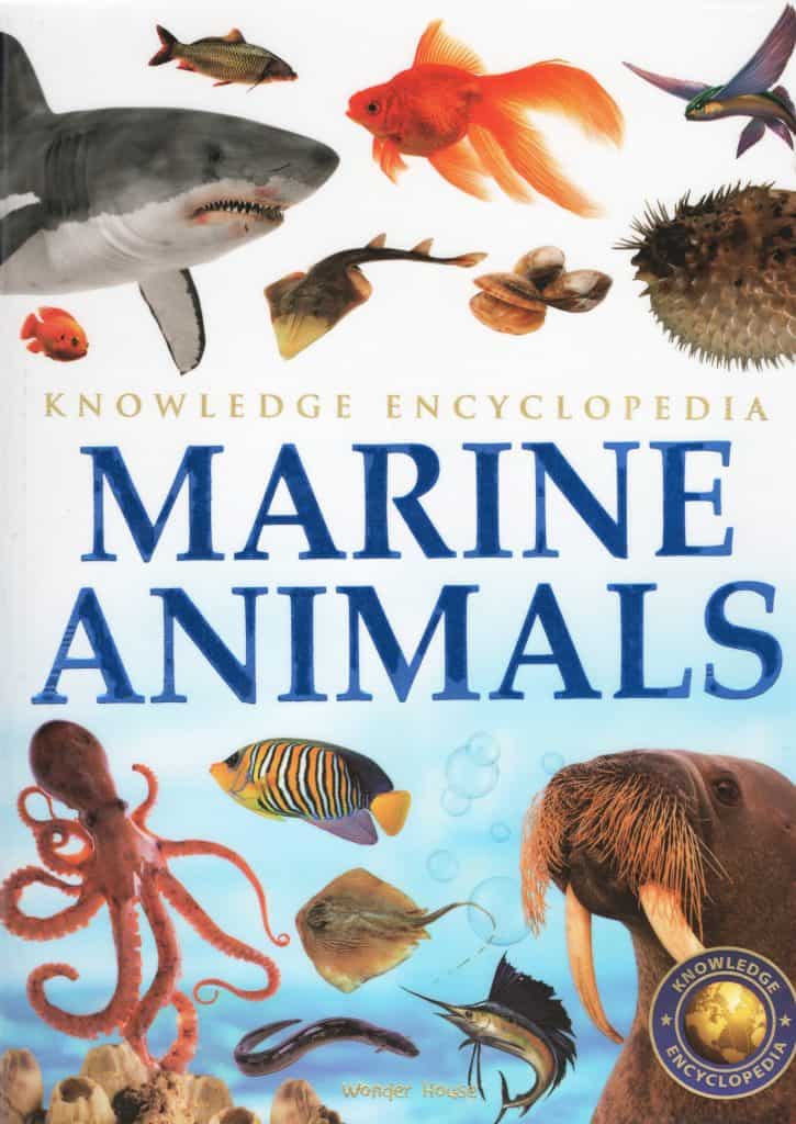 Animals: Marina Animals (Knowledge encyclopedia) - Squiggles