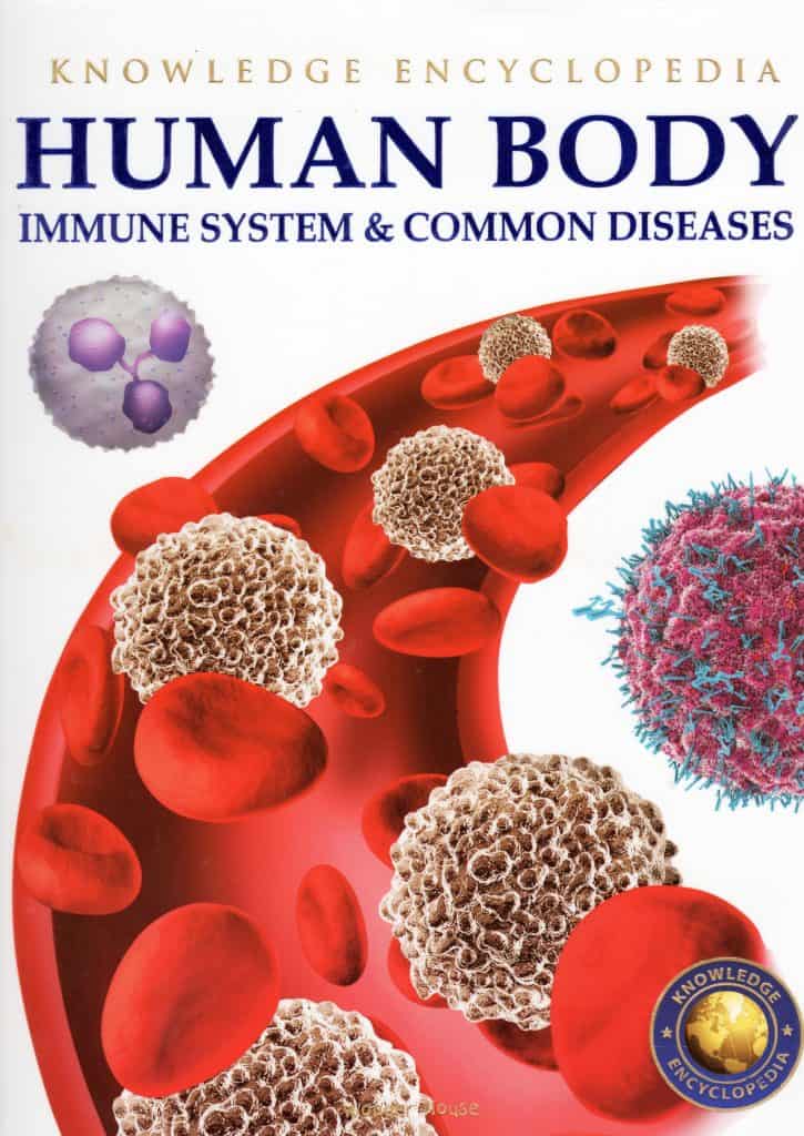 Knowledge encyclopedia human body: Immune System & Common Diseases ...